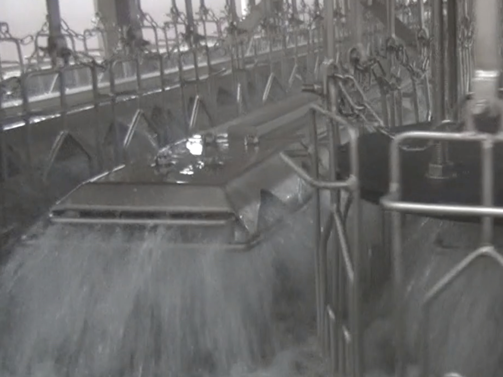 Propeller Agitated Scald Tank | Sedgbeer Processing Supplies